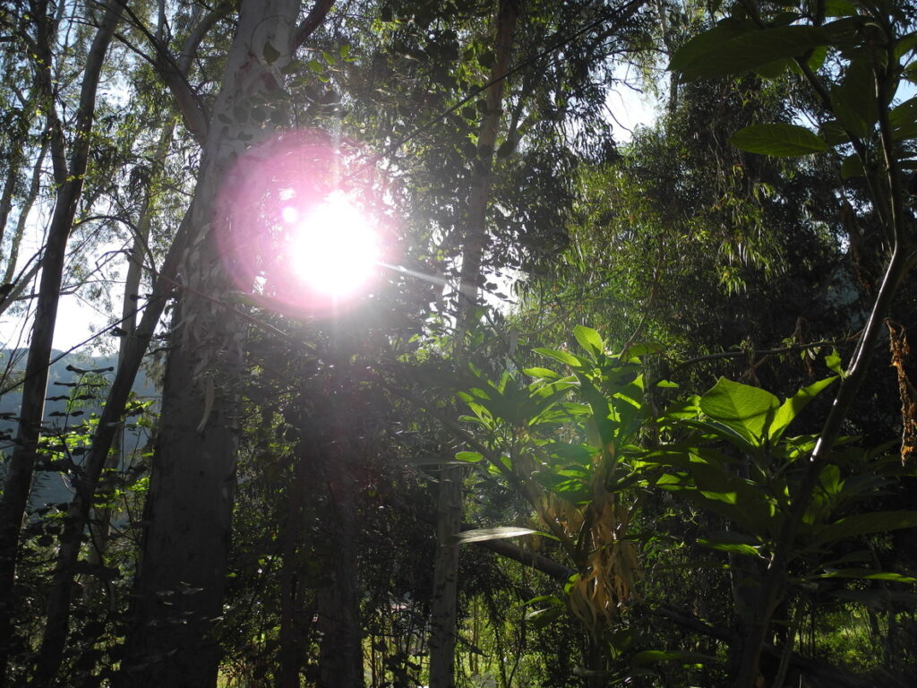 Our Summer Theme is Sun & Self Care! - Therapy Lounge