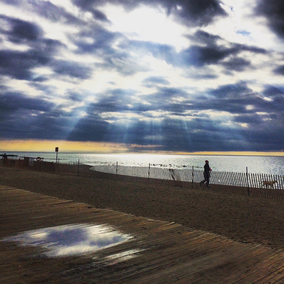 Our Spring Theme is Spring Back into Action! - Therapy Lounge